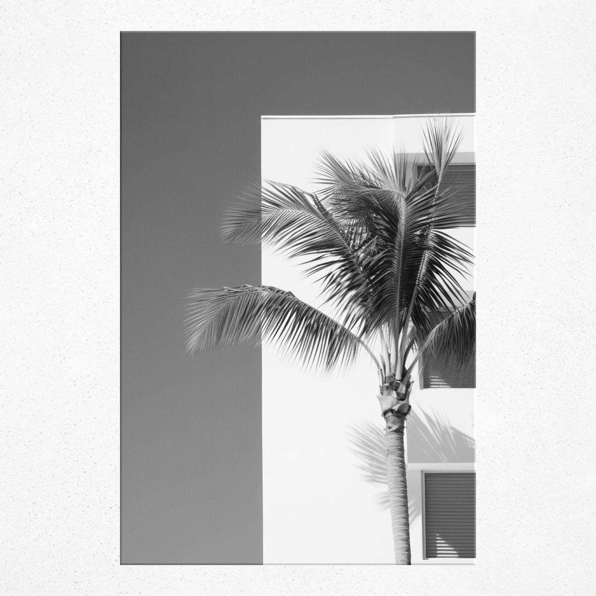Azure Oasis - Poster – Seaspark Prints
